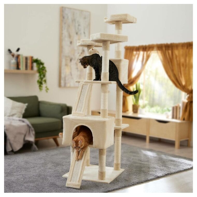 15 Best Christmas Gifts for Cats - 2025 Reviews & Top Picks | Hepper ...