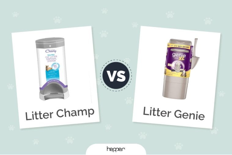 Litter Champ vs Litter Genie: Which One Is Better for My Cat? | Hepper ...