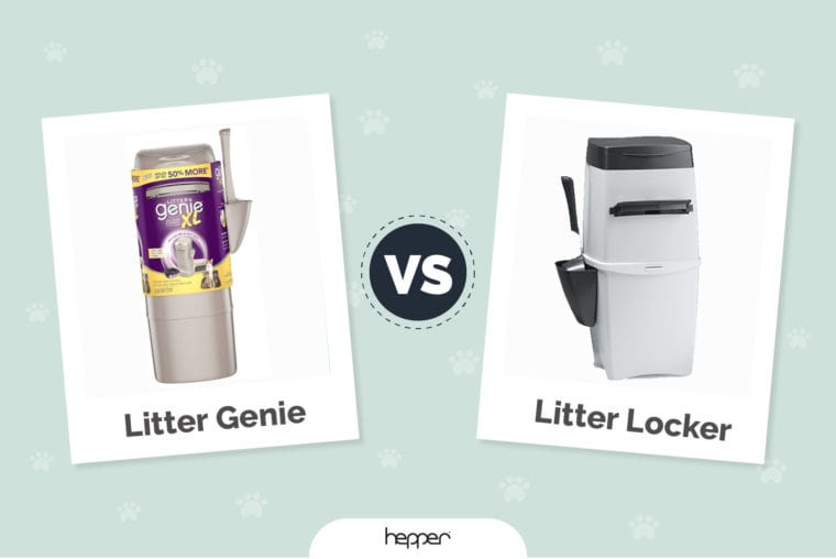 Litter Genie vs LitterLocker: Key Differences (With Pictures) | Hepper ...