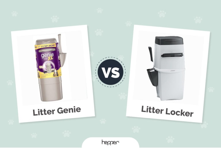 Litter Genie vs LitterLocker: Key Differences (With Pictures) | Hepper ...