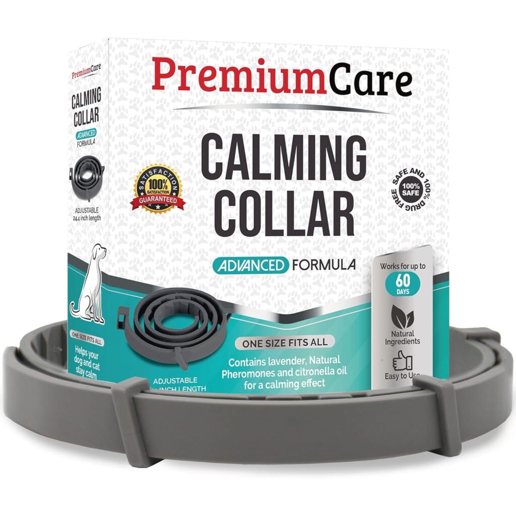 8 Best Calming Collars for Dogs - 2026 Reviews and Top Picks | Hepper ...
