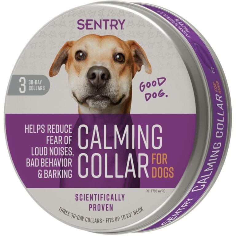 8 Best Calming Collars for Dogs - 2026 Reviews and Top Picks | Hepper ...