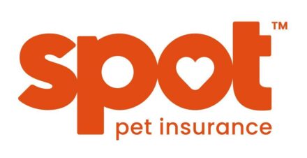 15 Best Pet Insurance Companies: 2026 Top Picks | Hepper Pet Resources