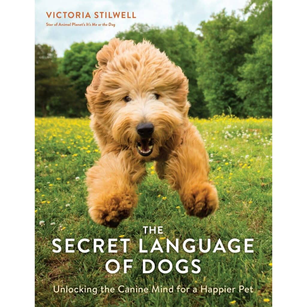 10 Best Dog Training Books for Rescue Dogs — 2026 Reviews & Top Picks ...