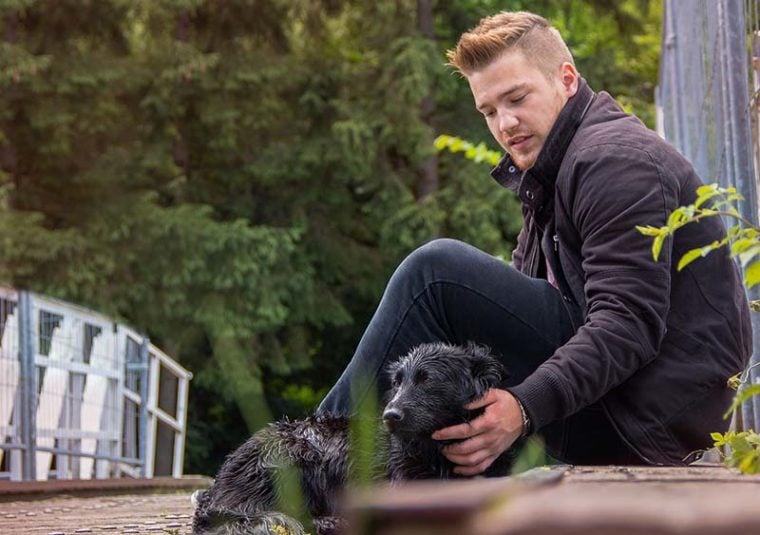 National Responsible Dog Ownership Day 2026: When It Is & How It Is ...