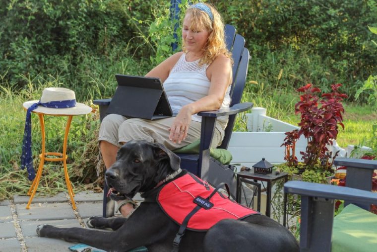 10 Best Mobility Service Dog Breeds (With Info & Pictures) | Hepper Pet ...