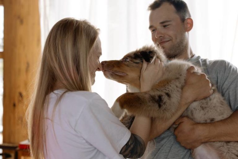 What is a Cadaver Dog? History, Breeds & Training | Hepper Pet Resources
