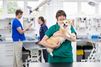 Dog Fasting 101 - Vet Reviewed Risks & Benefits | Hepper Pet Resources