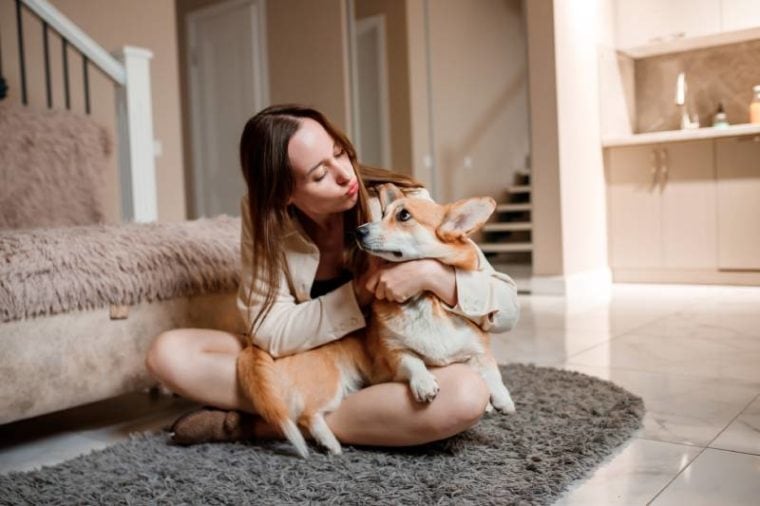 How Long Do Corgis Live? Average Lifespan, Data & Care | Hepper Pet ...