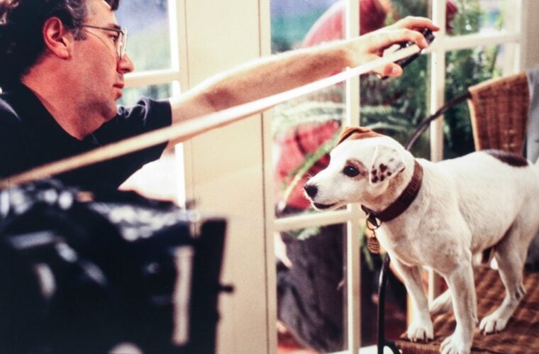 What Kind of Dog Is Wishbone? Famous Pets Presented | Hepper Pet Resources