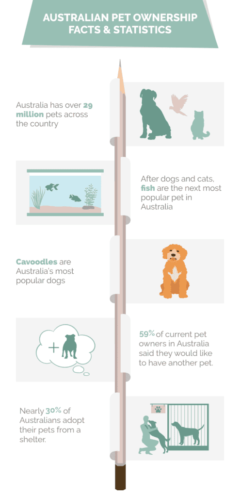 16 Incredible Australian Pet Ownership Statistics & Facts (2025 Update ...