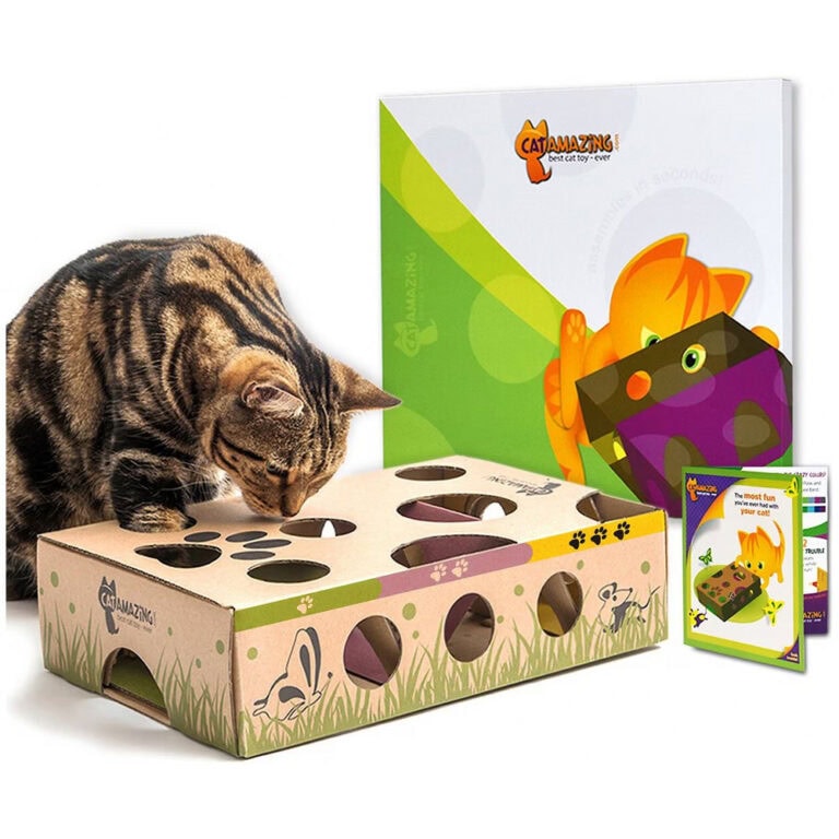 10 Best Toys for Smart Cats — 2026 Reviews & Top Picks | Hepper Pet ...