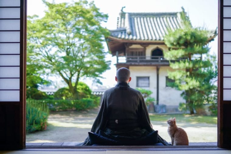 Japanese Waving Lucky Cat: The History Behind Maneki-Neko | Hepper Pet ...