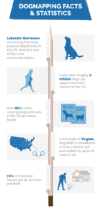 10 Shocking Dognapping & Dog Theft Statistics & Facts: 2025 Update ...