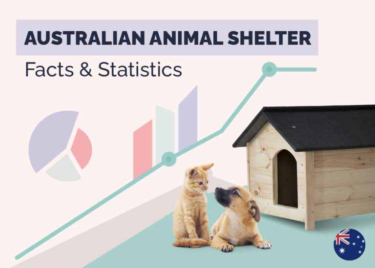 13 Shocking Animal Shelter Statistics & Facts: Updated in 2025 | Hepper ...