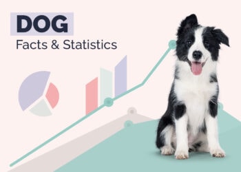 15 Incredible Dog Statistics & Facts: Updated in 2026 | Hepper Pet ...