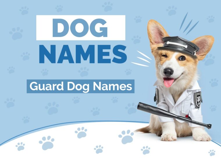 100+ Exotic Dog Names: Unique, Tropical & Far-Out Ideas | Hepper Pet ...