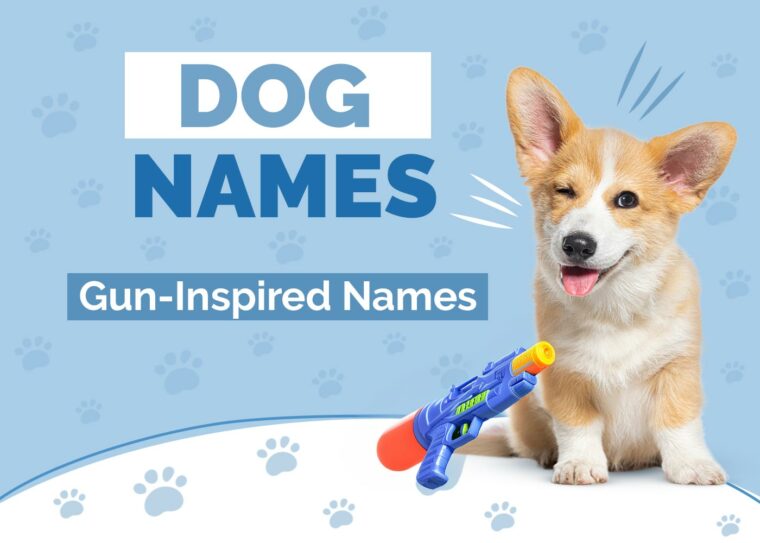 170+ Gun-Inspired Dog Names: Ideas for Patriotic & Sparky Dogs | Hepper ...