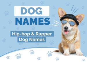 100+ Hip Hop and Rapper Dog Names: Ideas for Funky & Badass Pets ...
