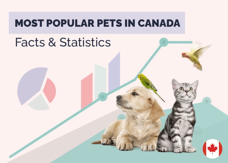 What Are the Most Popular Pets in 2025? 13 Interesting Statistics ...