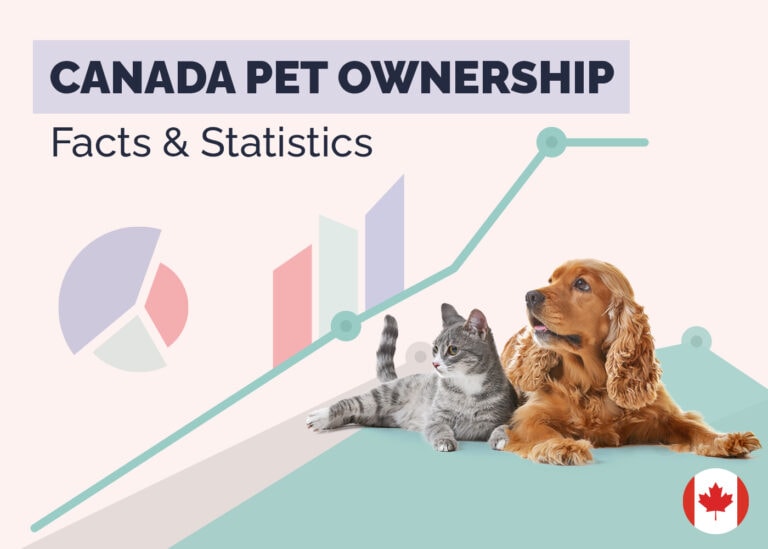 19 Pet Ownership Statistics in 2026: US Facts & Figures | Hepper Pet ...