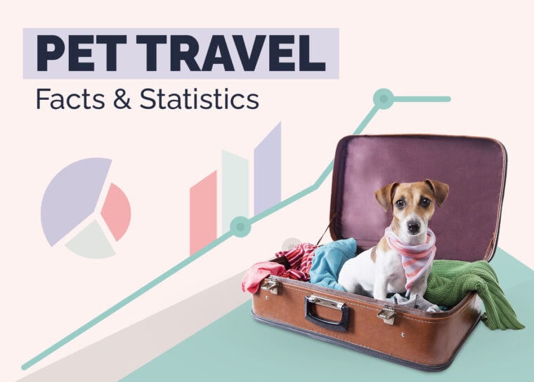 14 Surprising Pet Travel Statistics & Trends: 2026 Update | Hepper Pet ...