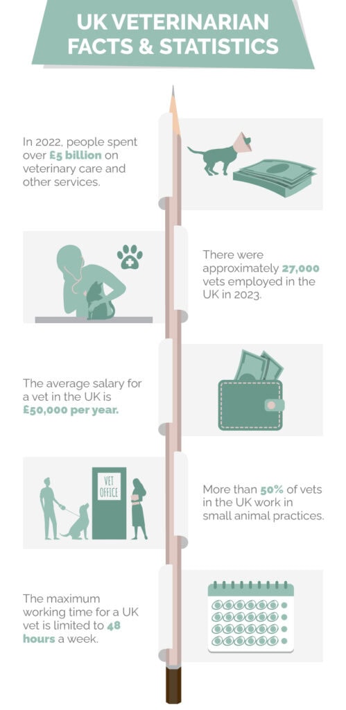 12 Surprising UK Veterinarian Statistics & Facts: 2025 Update | Hepper ...
