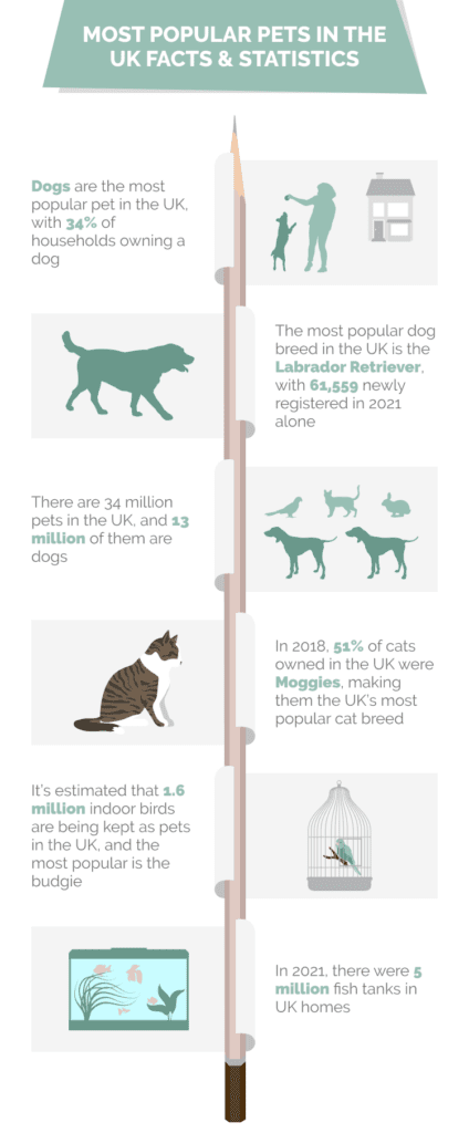 What Are the Most Popular Pets in the UK? 15 Surprising Statistics ...