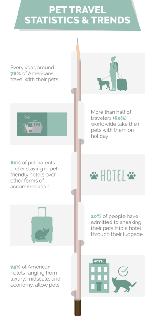 14 Surprising Pet Travel Statistics & Trends: 2026 Update | Hepper Pet ...