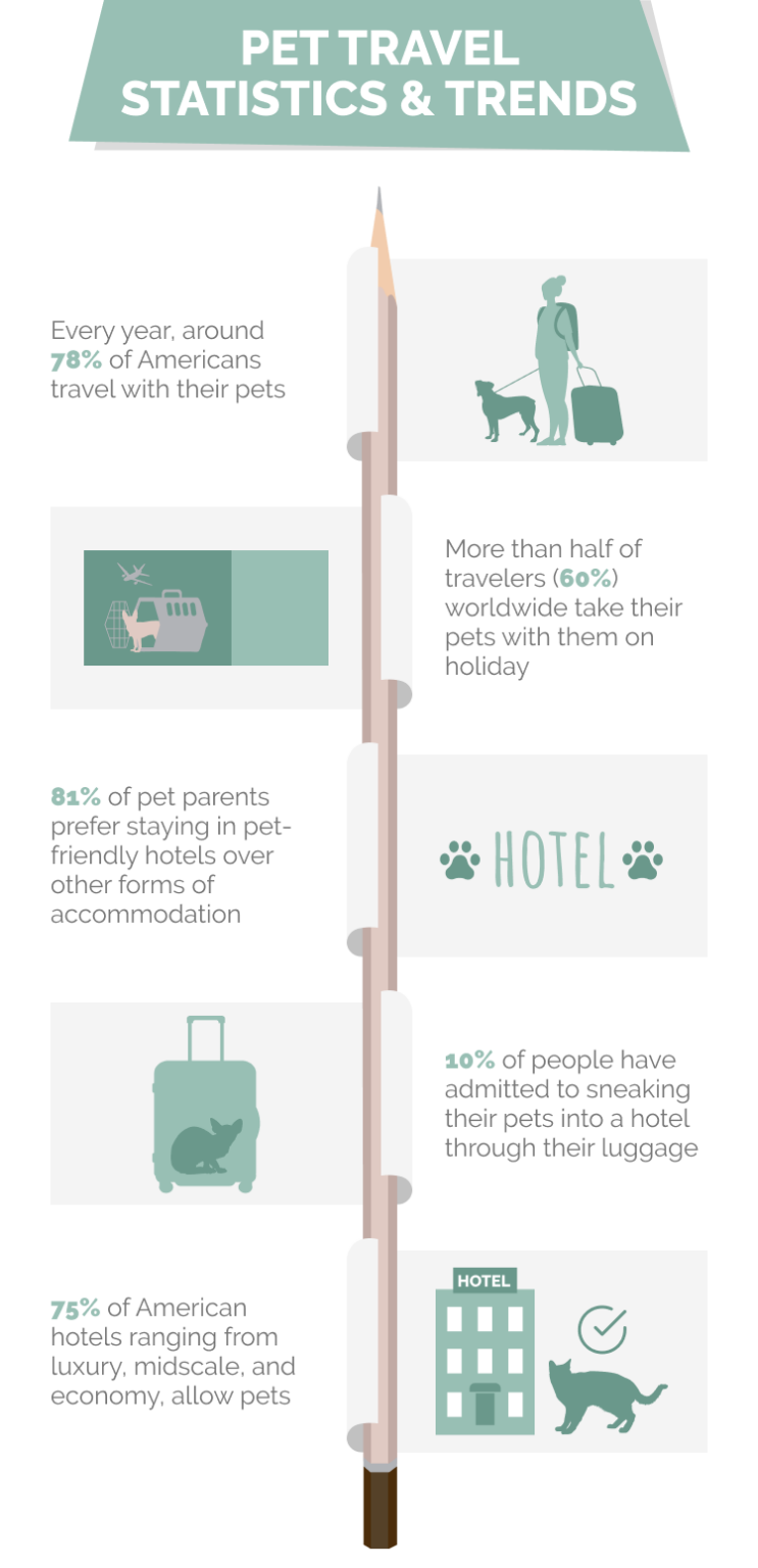 14 Surprising Pet Travel Statistics & Trends: 2025 Update | Hepper Pet ...