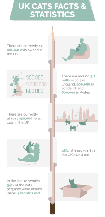 How Many Cats Are There in the UK? 20 Surprising Statistics: 2025 ...