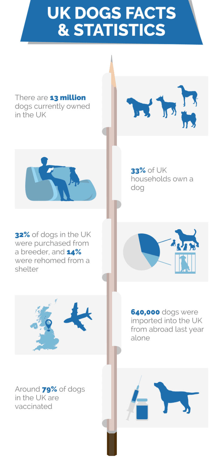 How Many Dogs Are There in the UK? 20 Surprising Statistics: 2026 ...