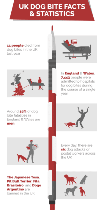 10 Surprising Dog Bite Statistics in the UK (2026 Update) | Hepper Pet ...