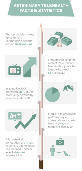 12 Veterinary Telehealth Statistics & Facts (Updated in 2025) | Hepper ...