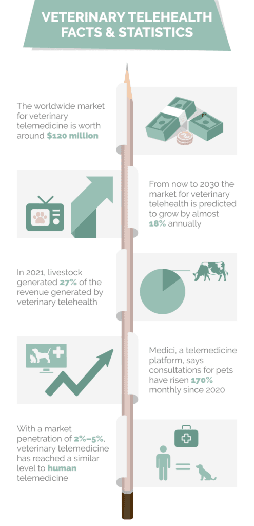 12 Veterinary Telehealth Statistics & Facts (Updated in 2025) | Hepper ...