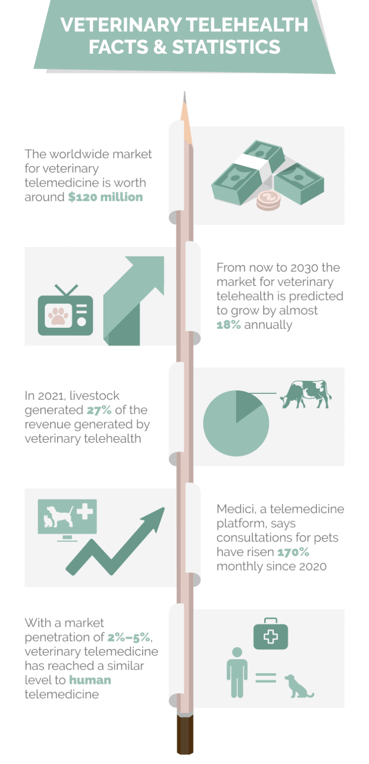 12 Veterinary Telehealth Statistics & Facts (Updated in 2026) | Hepper ...