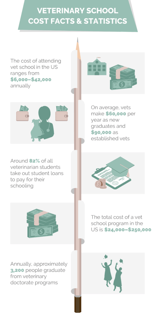How Much is Veterinary School? 17 Surprising Statistics in 2025 ...