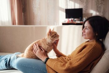 Do Cats Love Their Owners? Feline Affection Explained | Hepper Pet ...