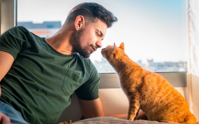 Why Is Your Cat Sniffing Your Face: 6 Vet-Reviewed Reasons | Hepper Pet ...