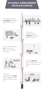 18 Shocking UK Animal Homelessness Statistics & Facts (Updated in 2025 ...
