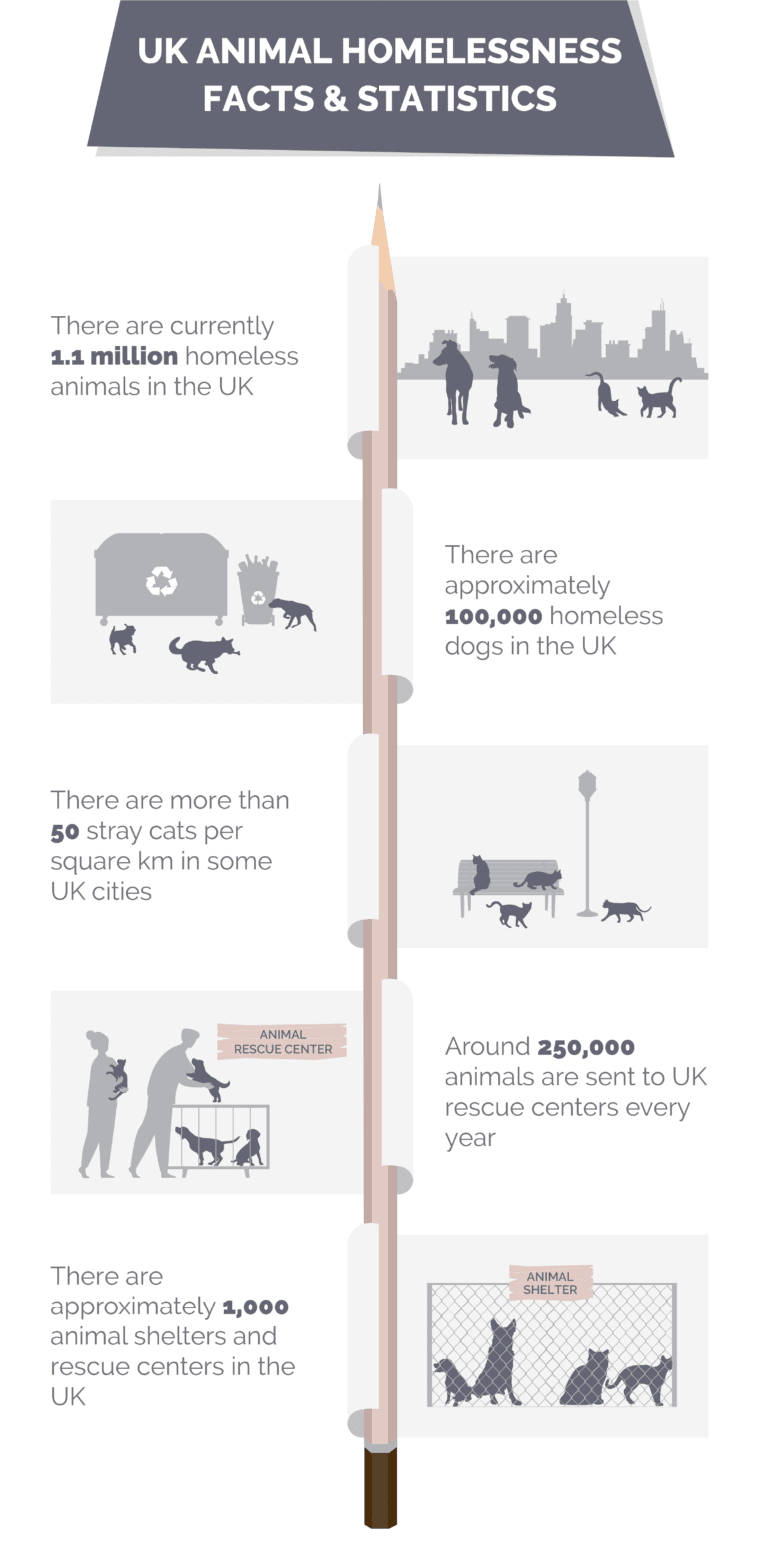 18 Shocking UK Animal Homelessness Statistics & Facts (Updated in 2026 ...