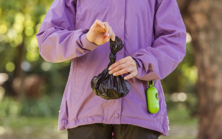 How to Clean Dog Poop from Grass: Guide & Important Facts | Hepper Pet ...