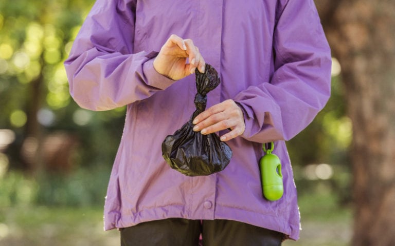 How to Clean Dog Poop from Grass: Guide & Important Facts | Hepper Pet ...