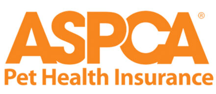 9 Best Pet Insurance Providers for Pre-Existing Conditions - 2025 ...