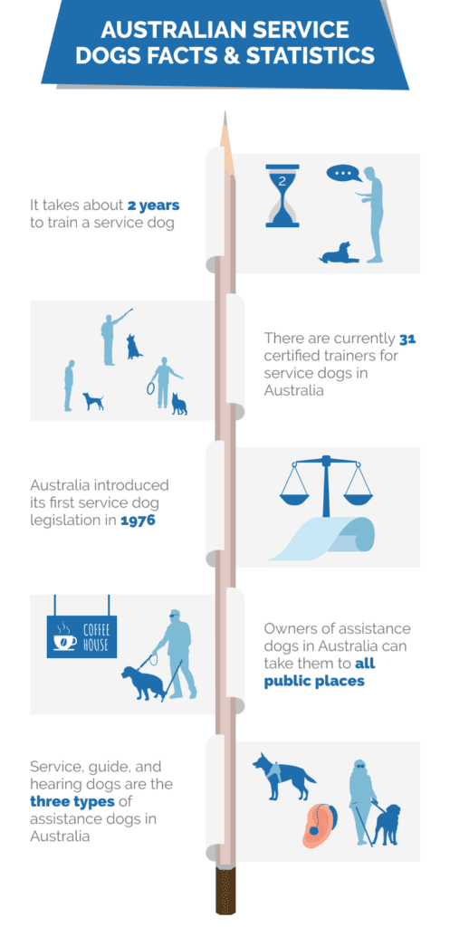 12 Incredible Australia Service Dog Statistics & Facts: Updated in 2025 ...