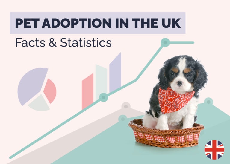 19 UK Pet Adoption Statistics & Facts (Updated in 2025) | Hepper Pet Resources