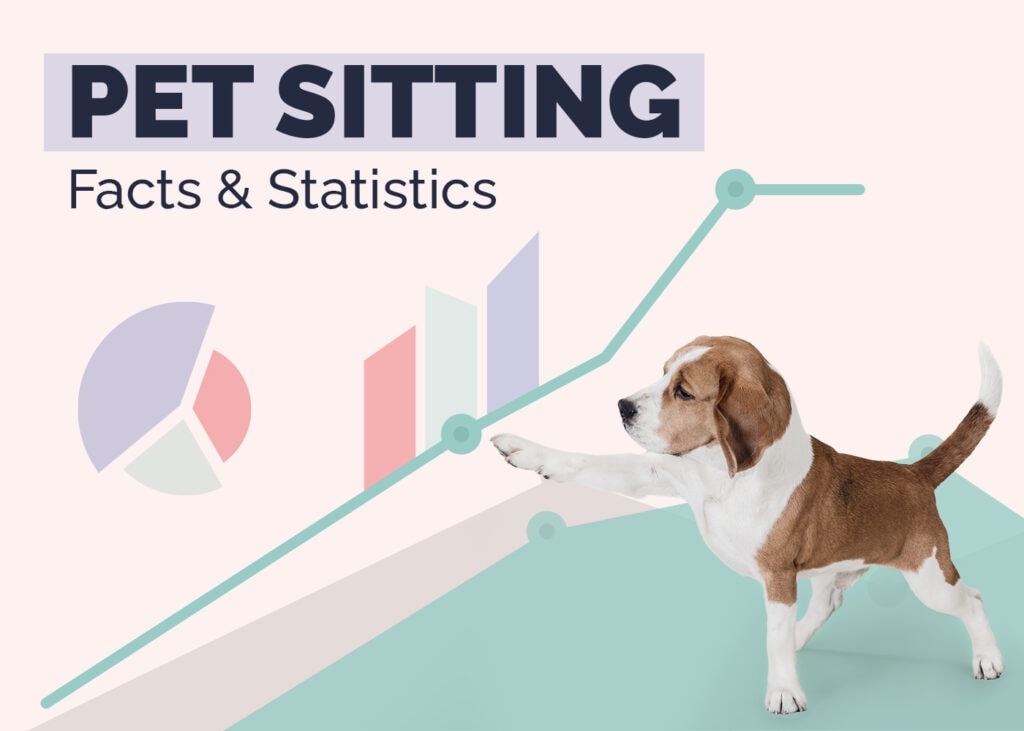 19 Surprising Pet Sitting Statistics & Trends (2025 Update) | Hepper ...