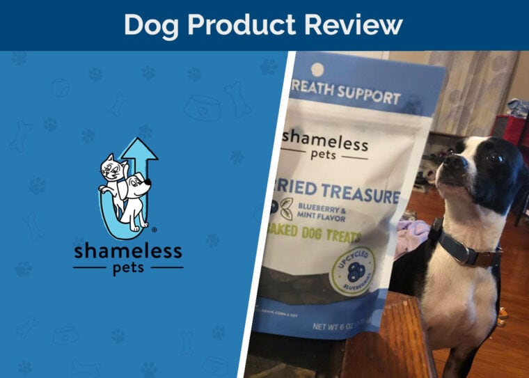 Shameless Pets Soft Baked Dog Treats Review 2025: An Expert Guide ...