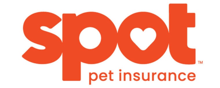 10 Best Pet Insurance Providers for Older Dogs - 2025 Reviews & Top ...
