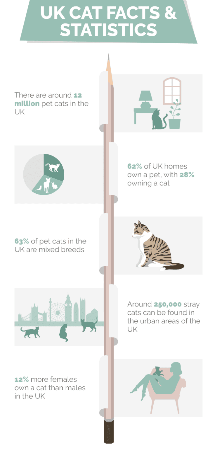 15 Incredible UK Cat Statistics & Facts: Updated in 2025 | Hepper Pet ...